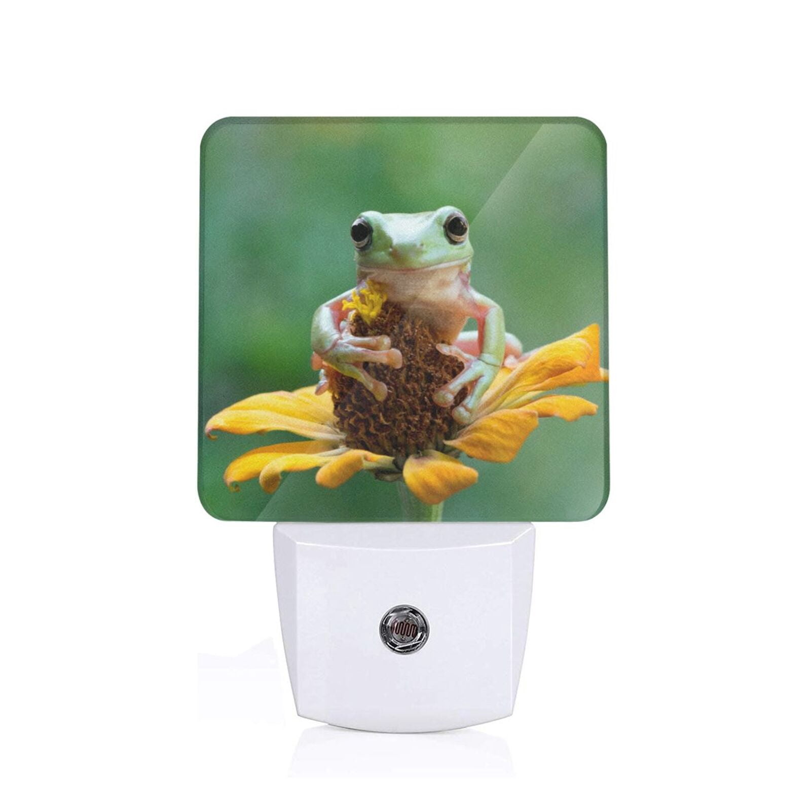 Xecao Tree Frog Sitting On Sunflowes for Night Light - a Wall-mounted ...