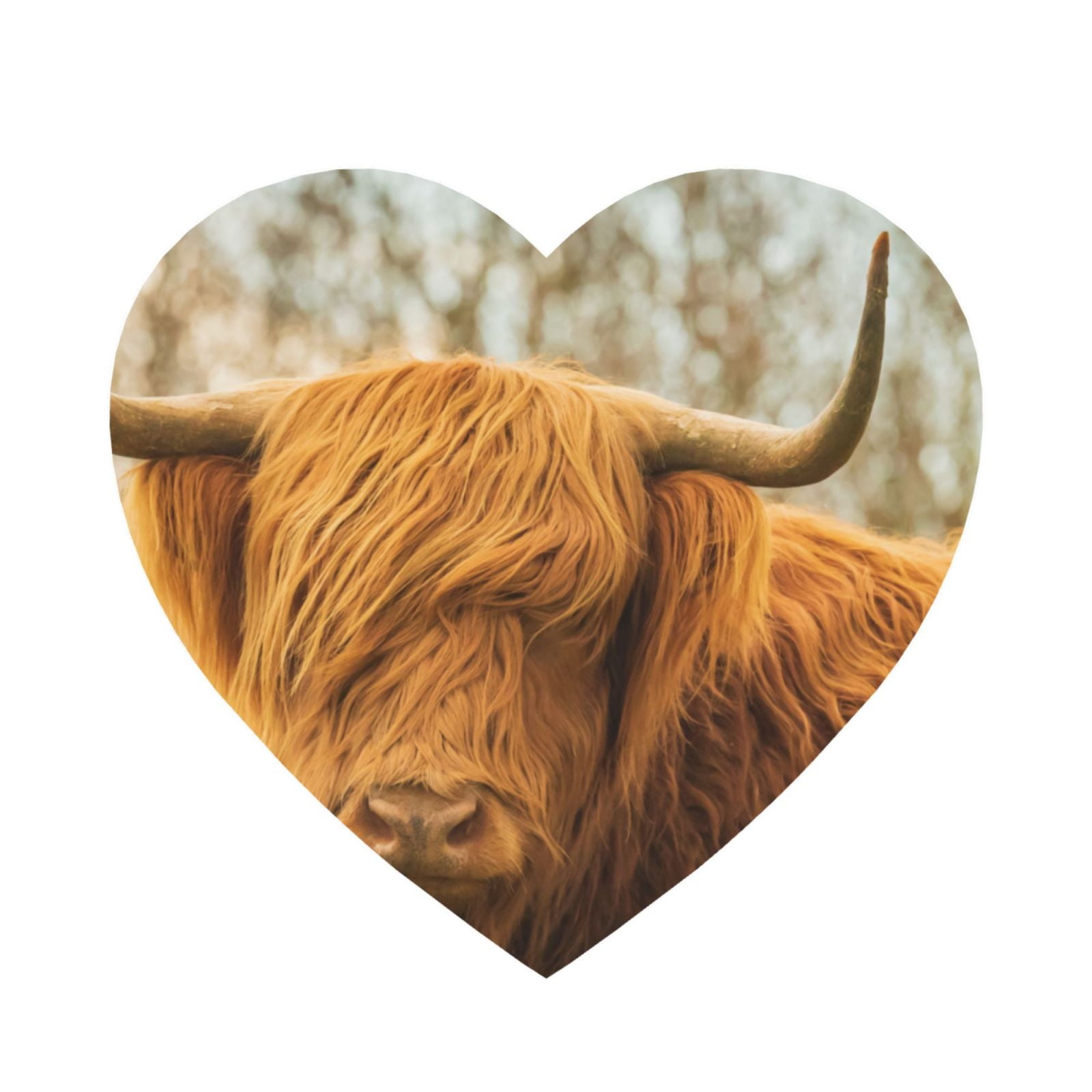 Xecao Yak for Fridge Magnets - Fun Decorative Refrigerator Magnets ...