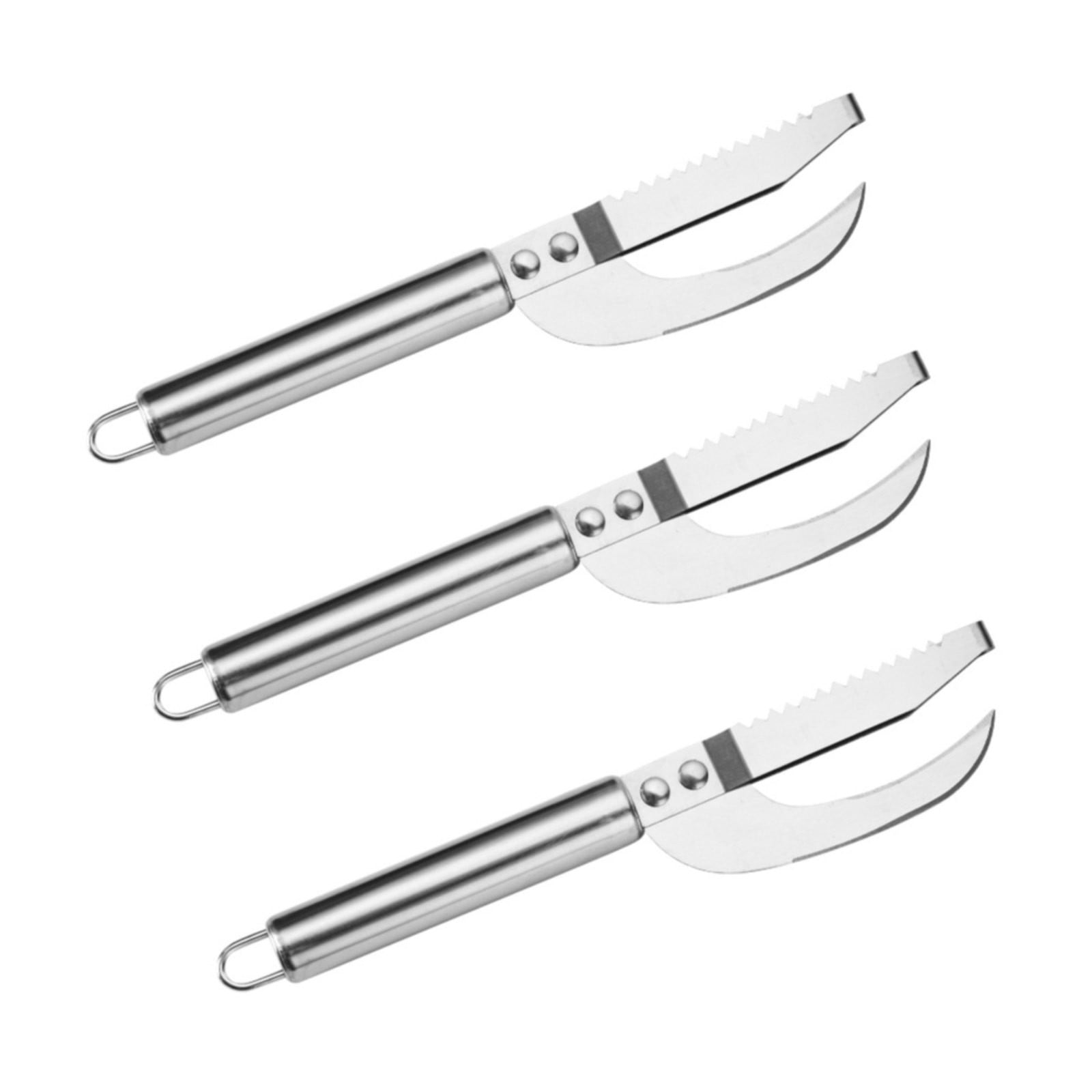 Xeejarui Cutter Fish 2024 Multi Fish Scale Einfache Entfernung Schuppen ...