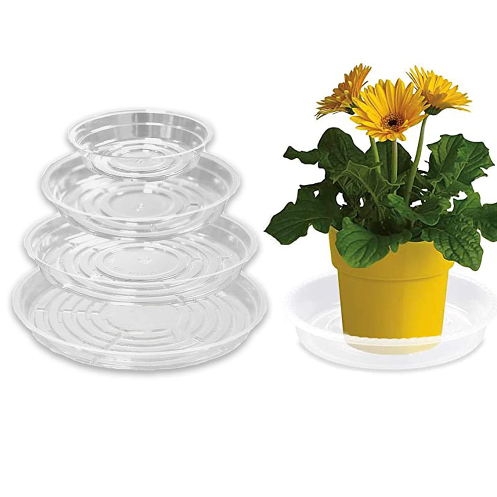 Xeyise 10Pcs Transparent Plastic Plant Saucers Drip Trays Round Shape ...