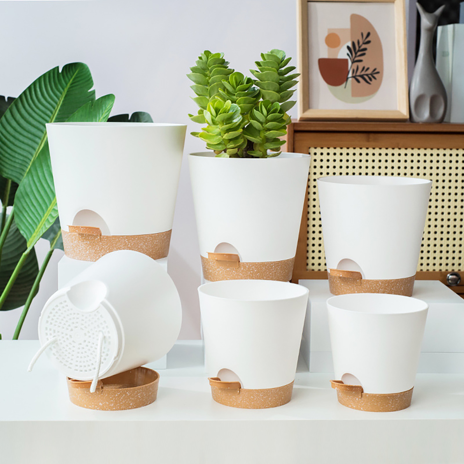 Xeyise 6Pcs Self Watering Flower Pot Drainage Hole Modern Plastic ...