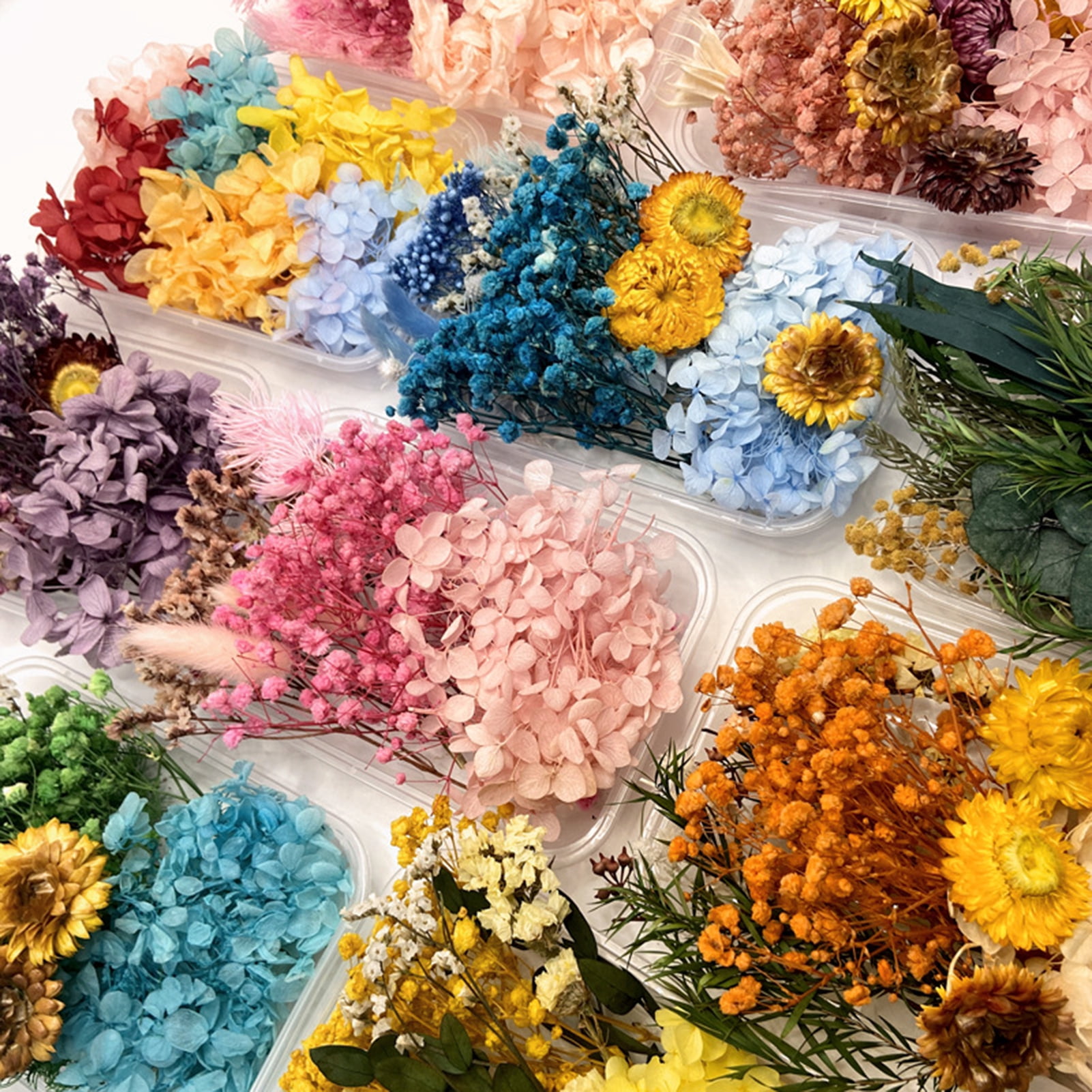 Xeyise Dried Flowers Kit Real Natural Flowers Bulk Dried Flower DIY ...