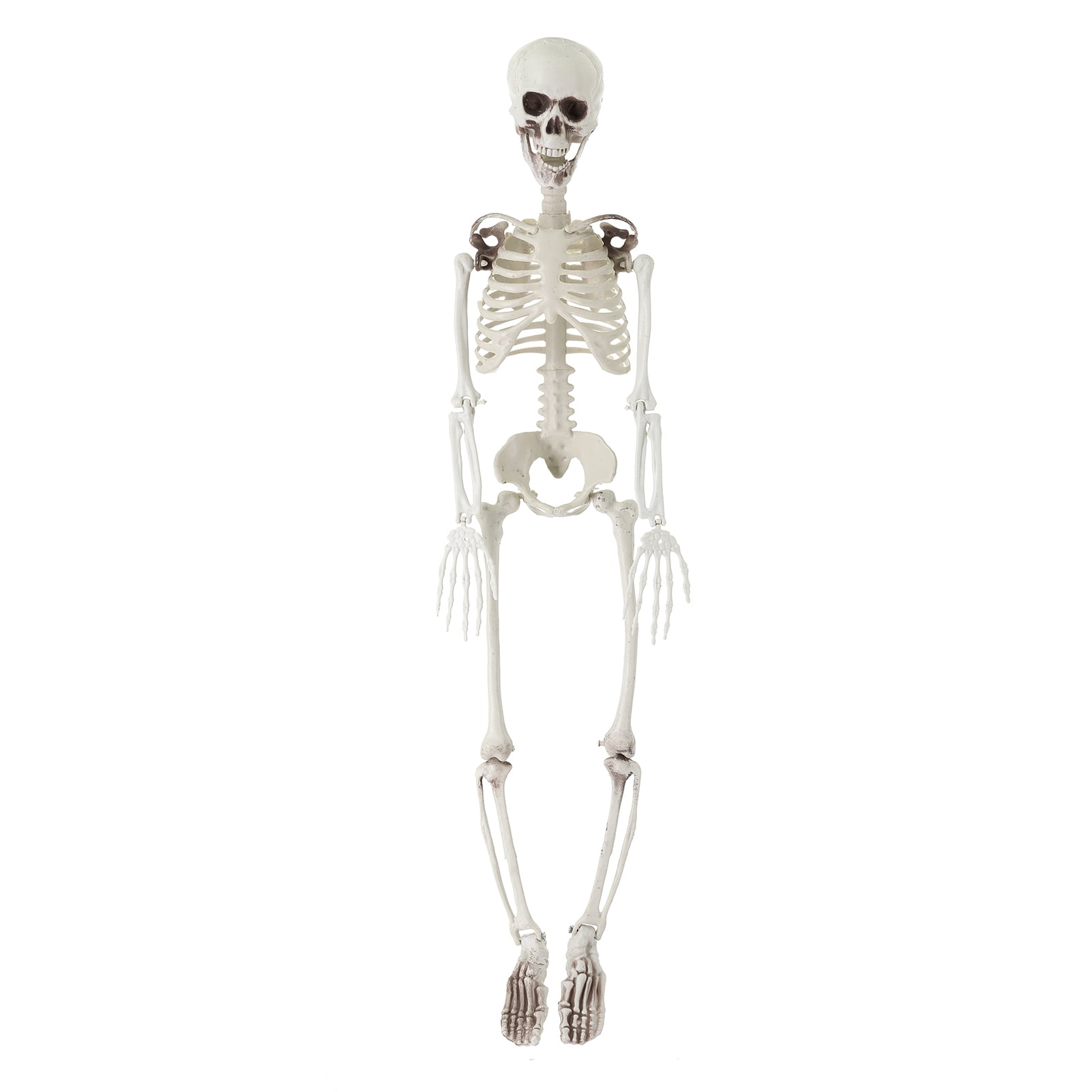 Xeyise Scary Skull Skeleton Realistic Movable Skeleton Props Scary ...