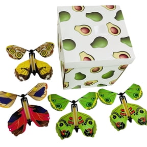 Flying Butterfly Gift Box