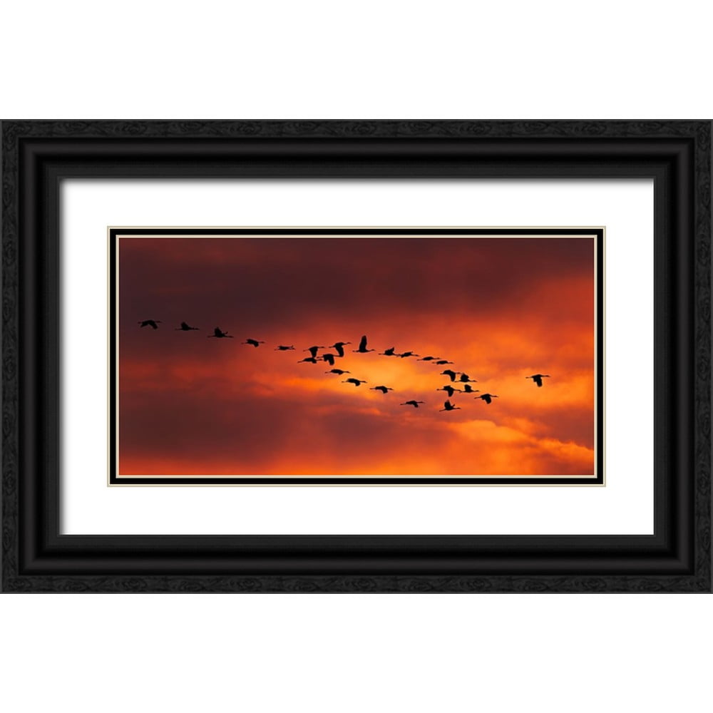 Xiao, Hanping 24x14 Black Ornate Wood Framed with Double Matting Museum ...