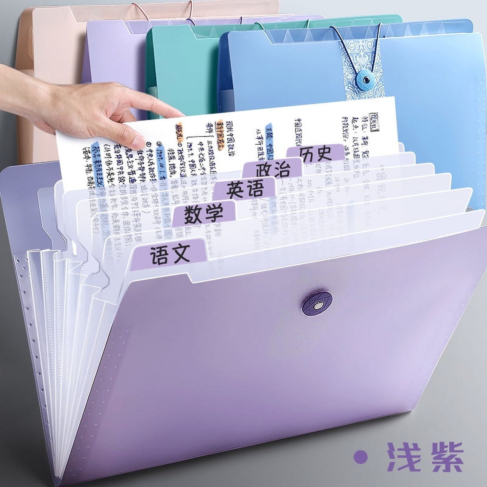 Xiao Hua 8-Pocket Extended File Manager, Tag Accordion Folder, Portable ...
