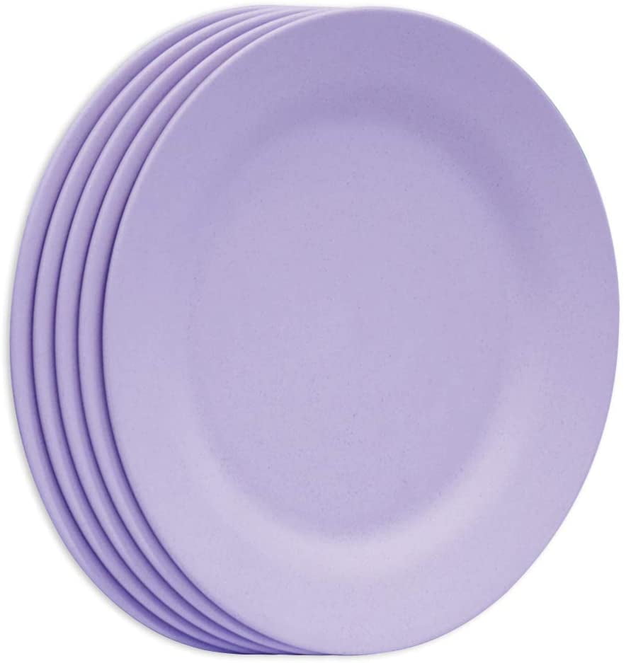 XiaoBanDeng 11 Inch Dinner Plate Set, Extra Large Pasta Plates ...
