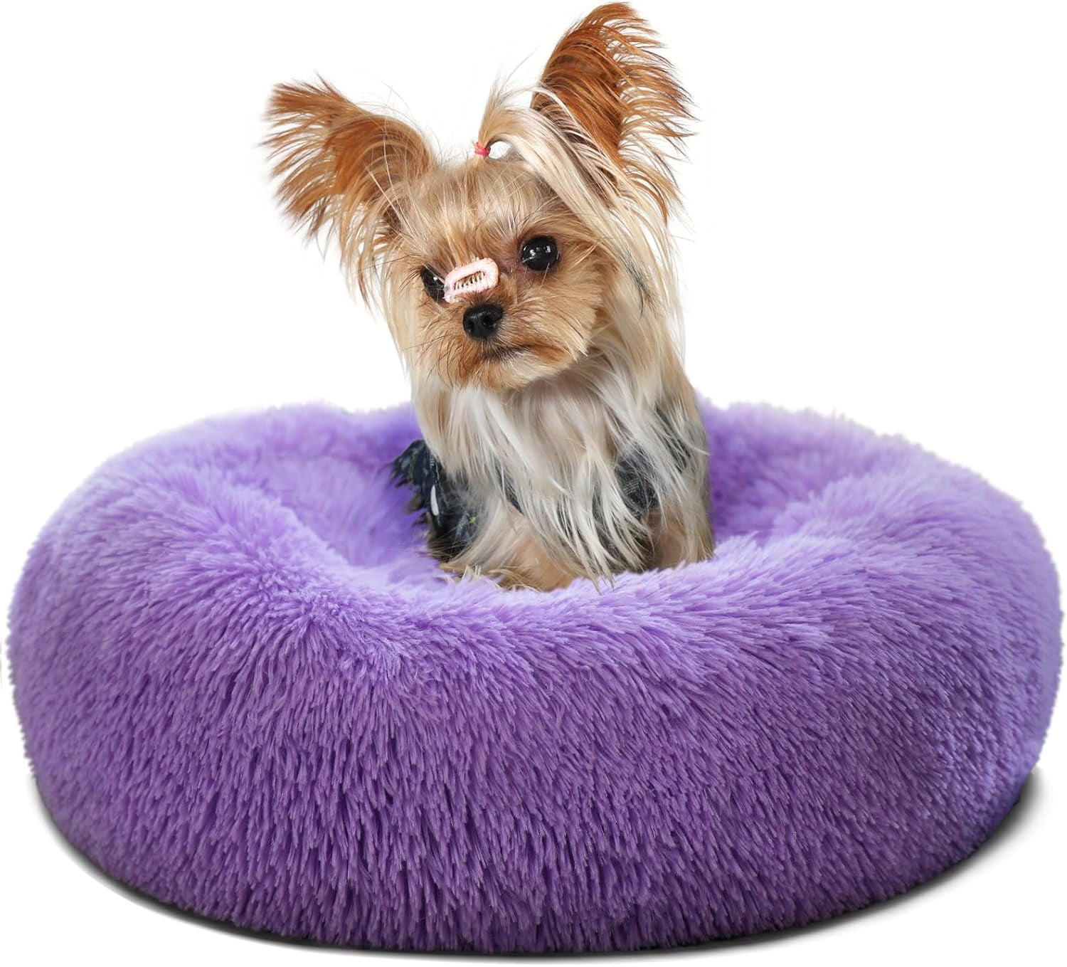 XiaoBanDeng wrkfree Guinea Pig Bed for Cage Plush Calming Hideout, Warm ...