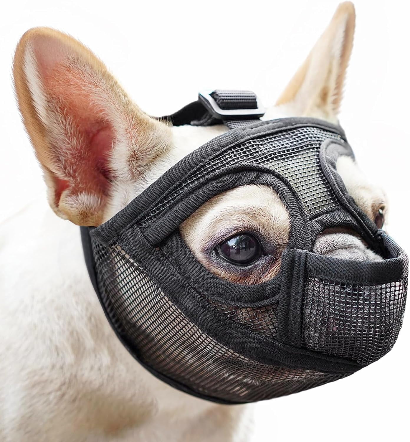 XiaoBanDengShort Snout Dog Muzzle for French Bulldog with Full Pant ...