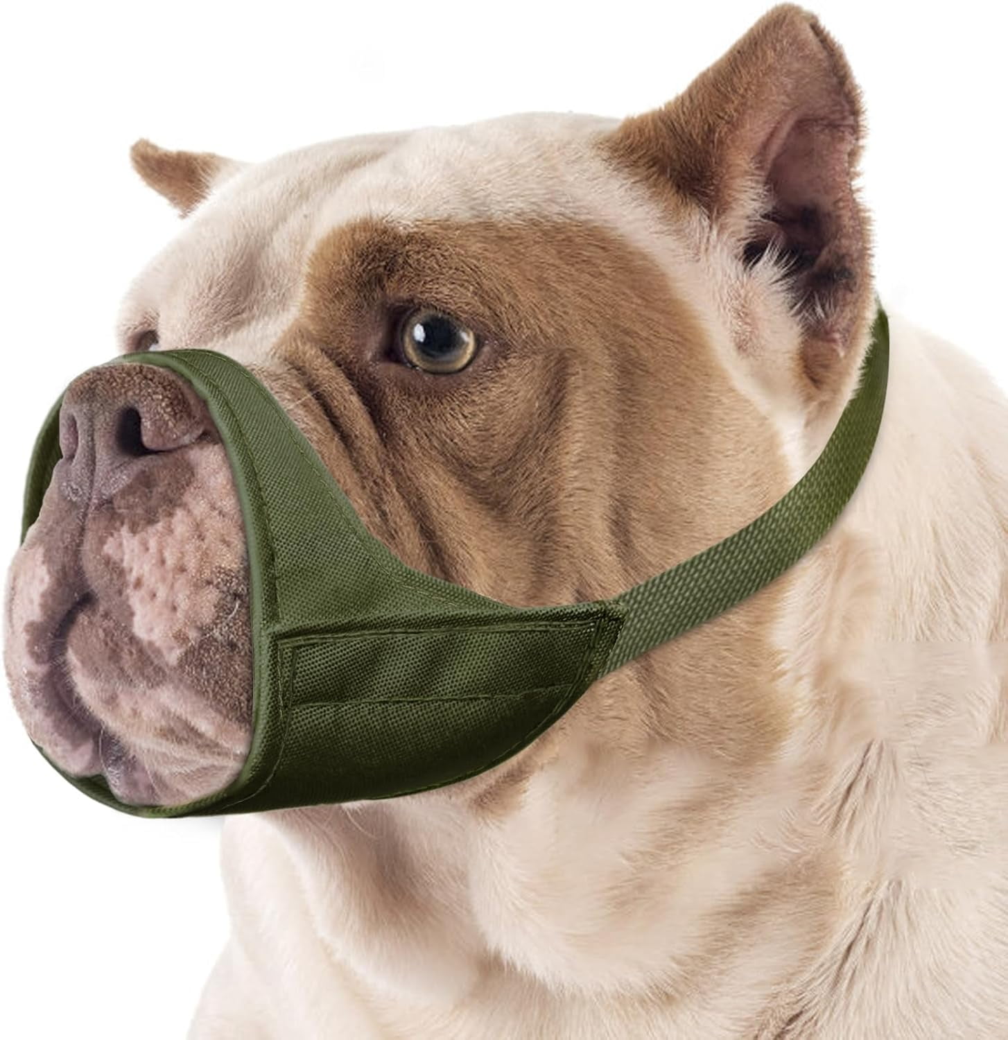 XiaoBanDengShort Snout Dog Muzzle, Small Muzzle for Chihuahua Shih Tzu ...