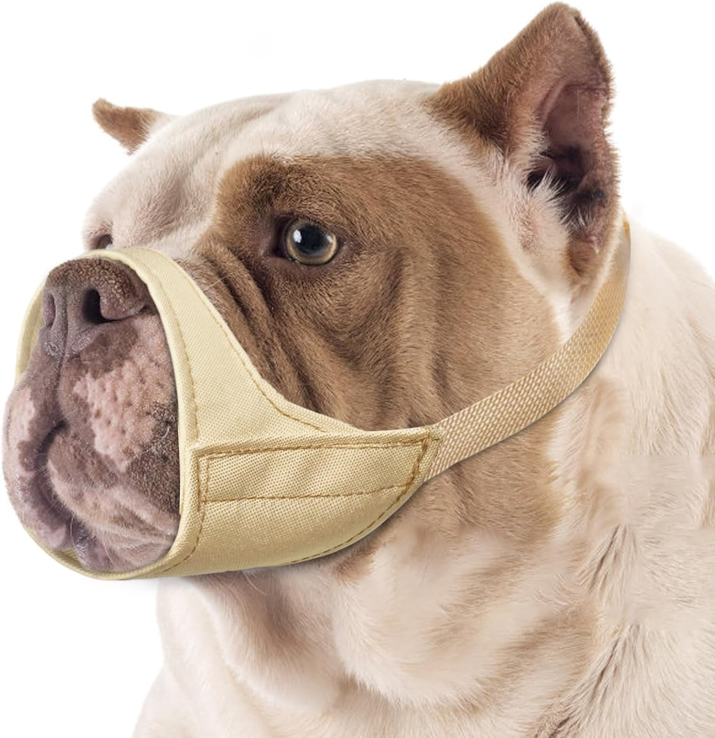 XiaoBanDengShort Snout Dog Muzzle, Small Muzzle for Chihuahua Shih Tzu ...