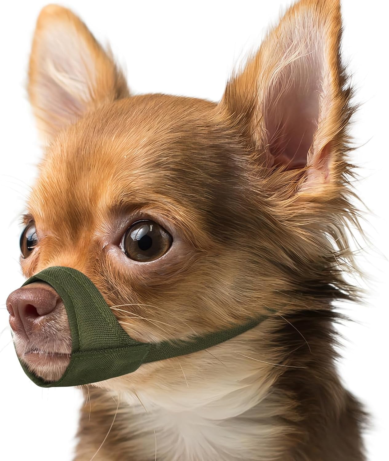 XiaoBanDengShort Snout Dog Muzzle, Small Muzzle for Chihuahua Shih Tzu ...