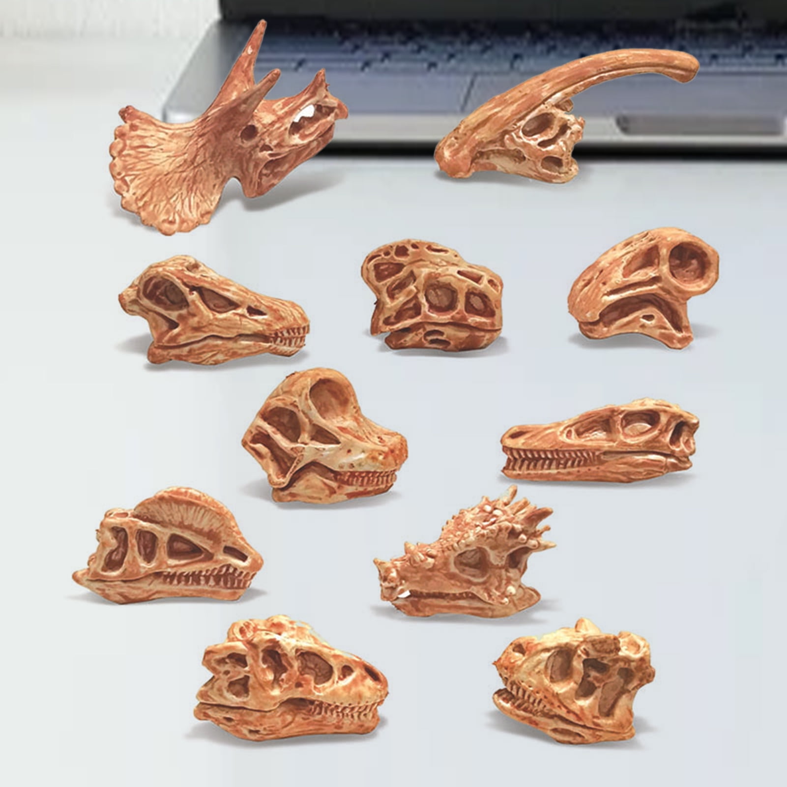 XinYux 11Pcs/Set Dinosaur Fossil Model High Simulation Hand-painted ...