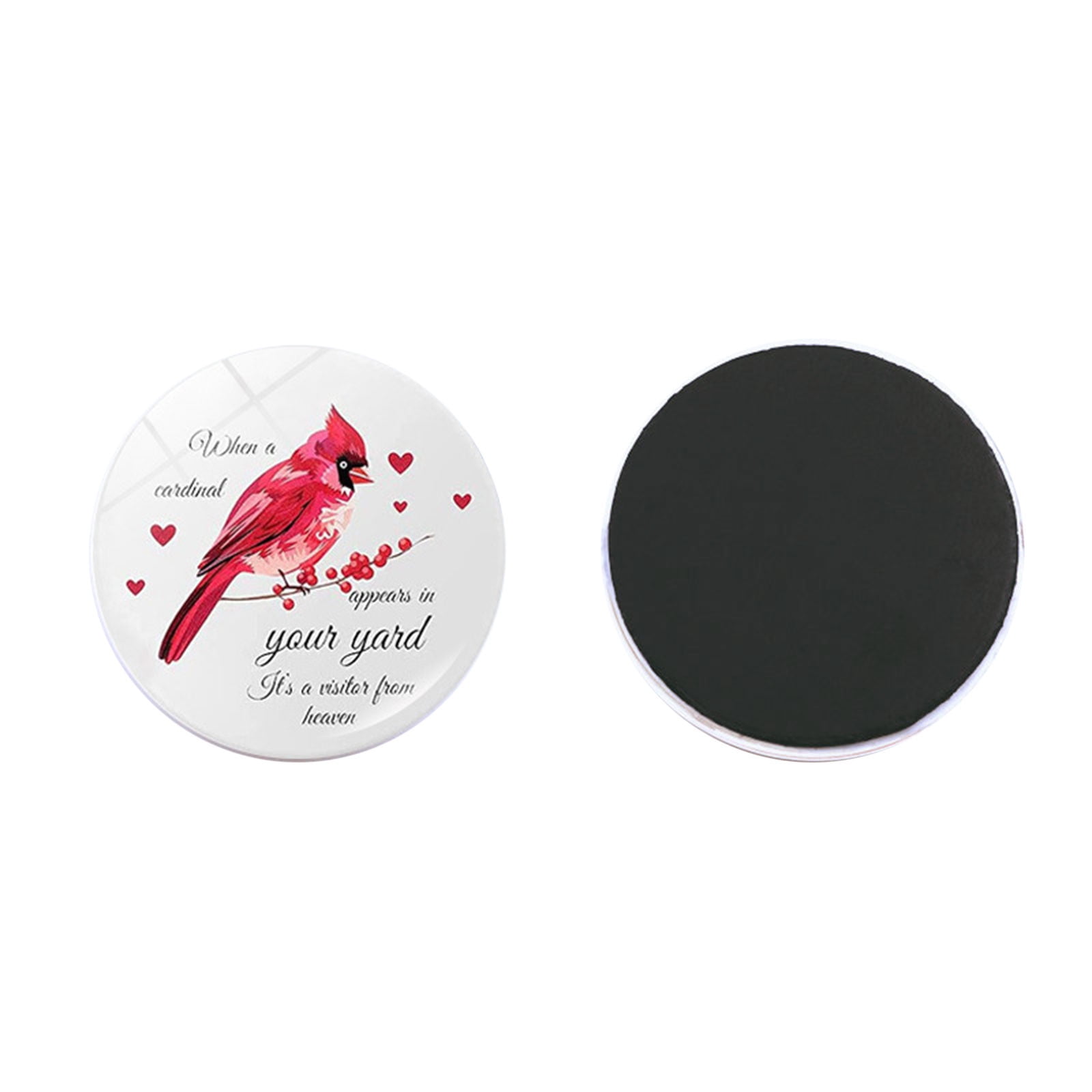 Xinduolei Beautiful Glass Fridge Pretty Refrigerator for Office Cabinet ...