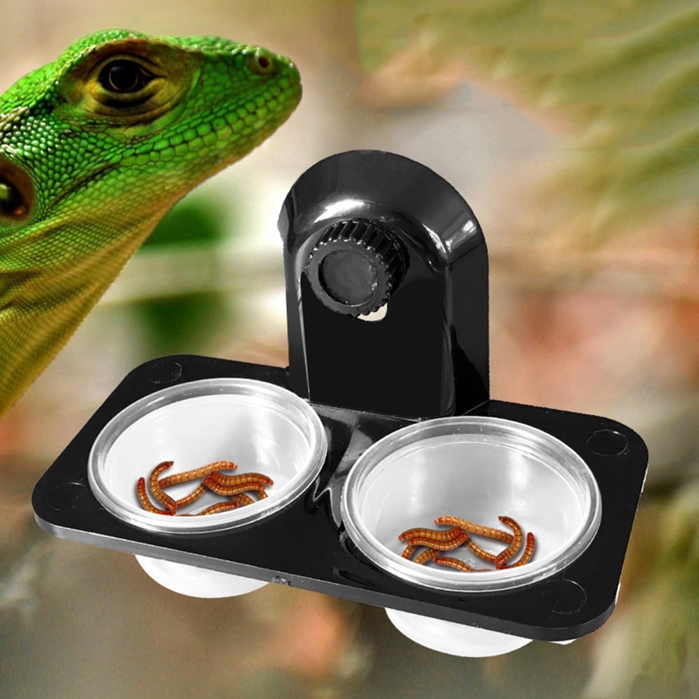 Xinwanna Double Grid Reptiles Food Water Feeding Bowl Insects Spider ...