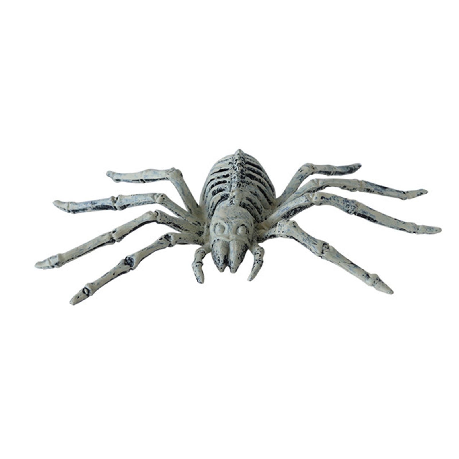 Xinwanna Halloween Animal Skeleton Plastic Bone Model Realistic ...