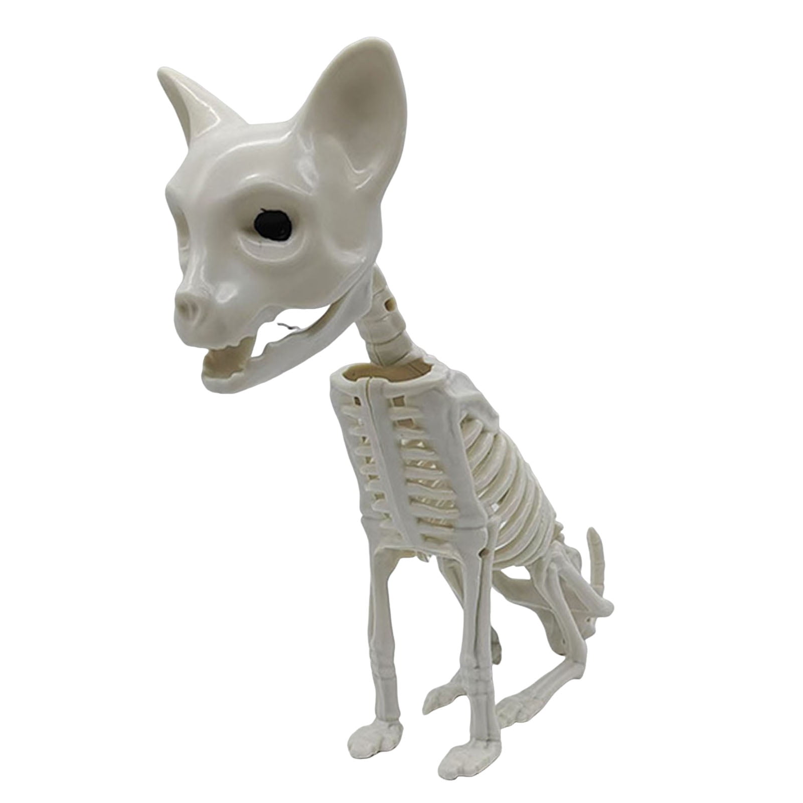 Xinwanna Halloween Animal Skeletons Dog Bat Frog Scorpion Spider Snake ...