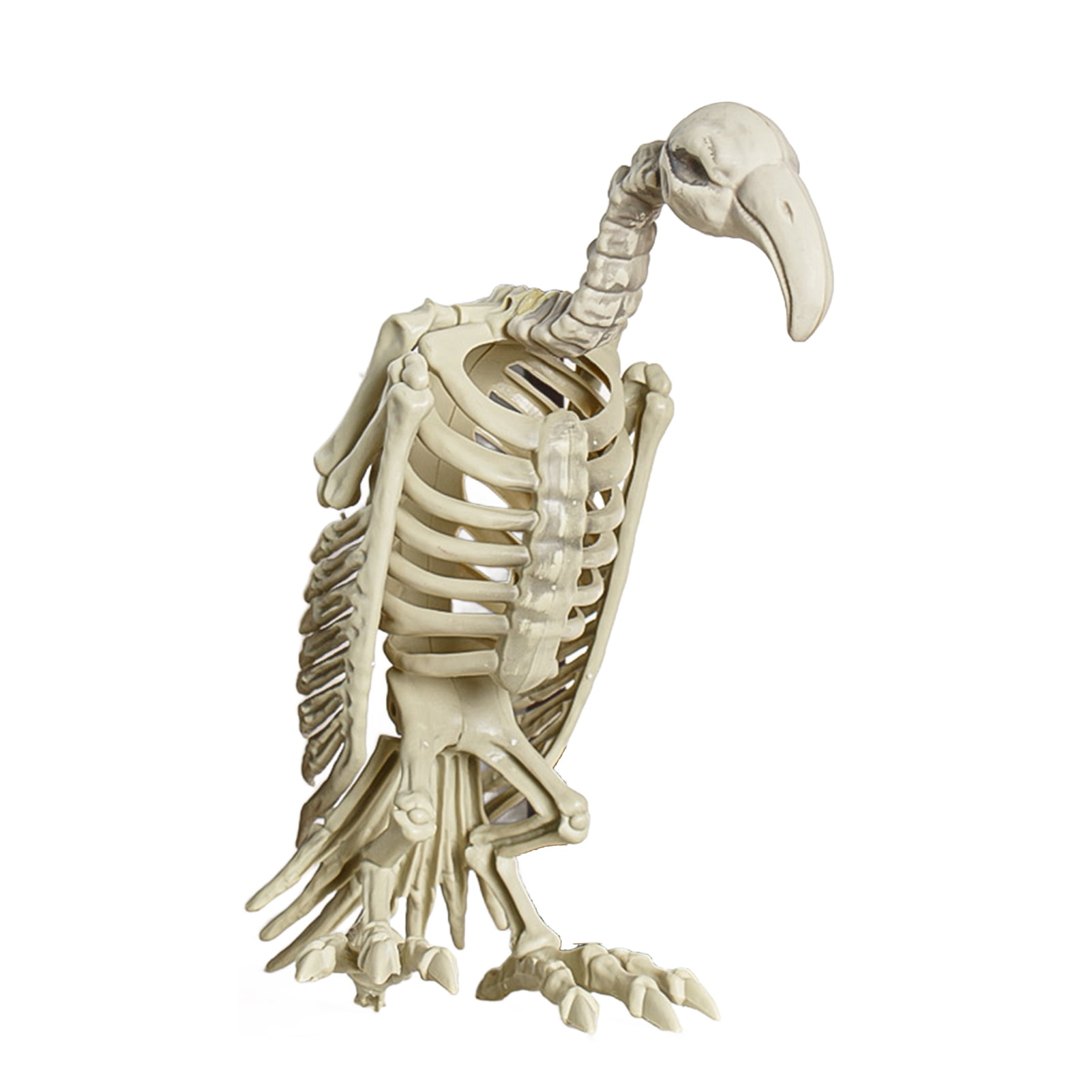 Xinwanna Halloween Skeleton Animal Decoration Creepy Cat/Dog/Bird/Rat ...