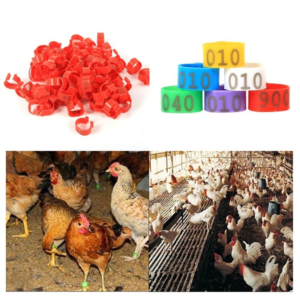 Xinyolin 100Pcs 001-100 Numbered Poultry Chickens Ducks Leg Bands Rings ...