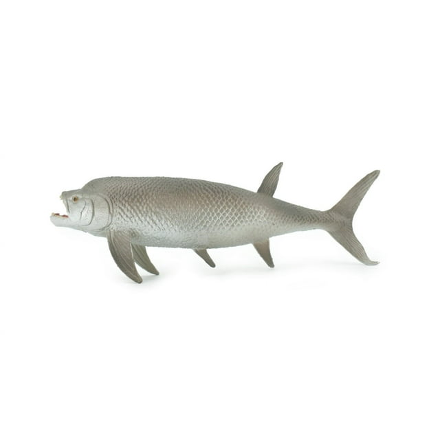 Xiphactinus, Extinct Fish, Fanged Tarpon, Museum Quality, Hand Painted ...