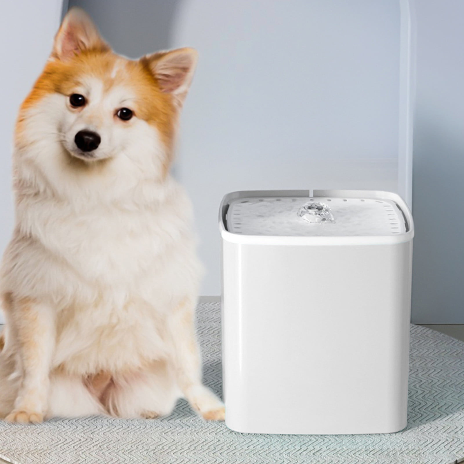 Xiying Automatic Pet Water Dispenser | 3L Usb-Powered Water Fountain ...