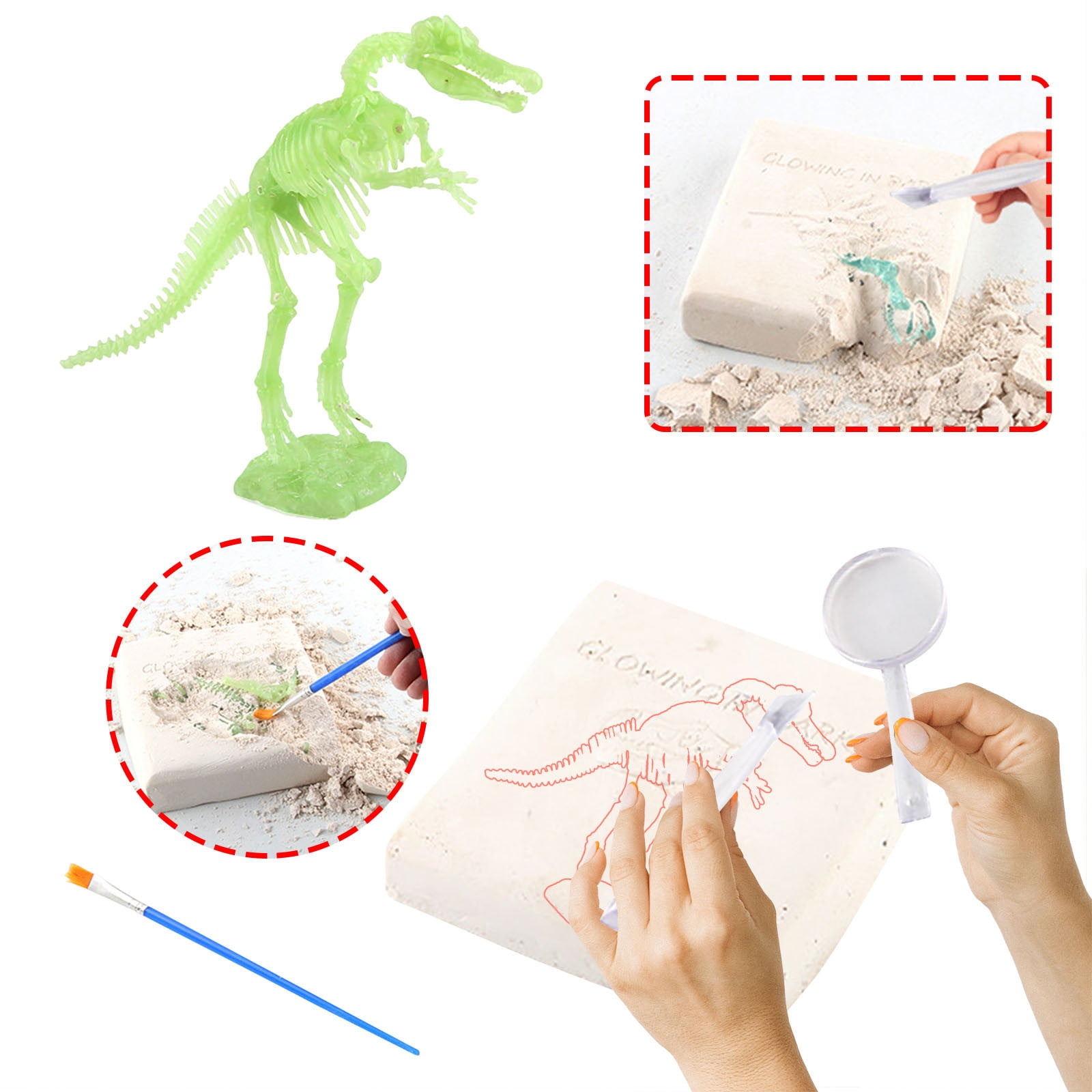 Xiying Luminous Dinosaur Skeleton Excavation Kit | Tyrannosaurus Rex Archaeology Toy ...