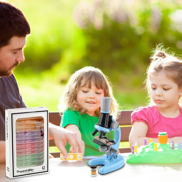 Xiying Microscope Specimens & Insect Biological Sections | 12-Piece Set ...