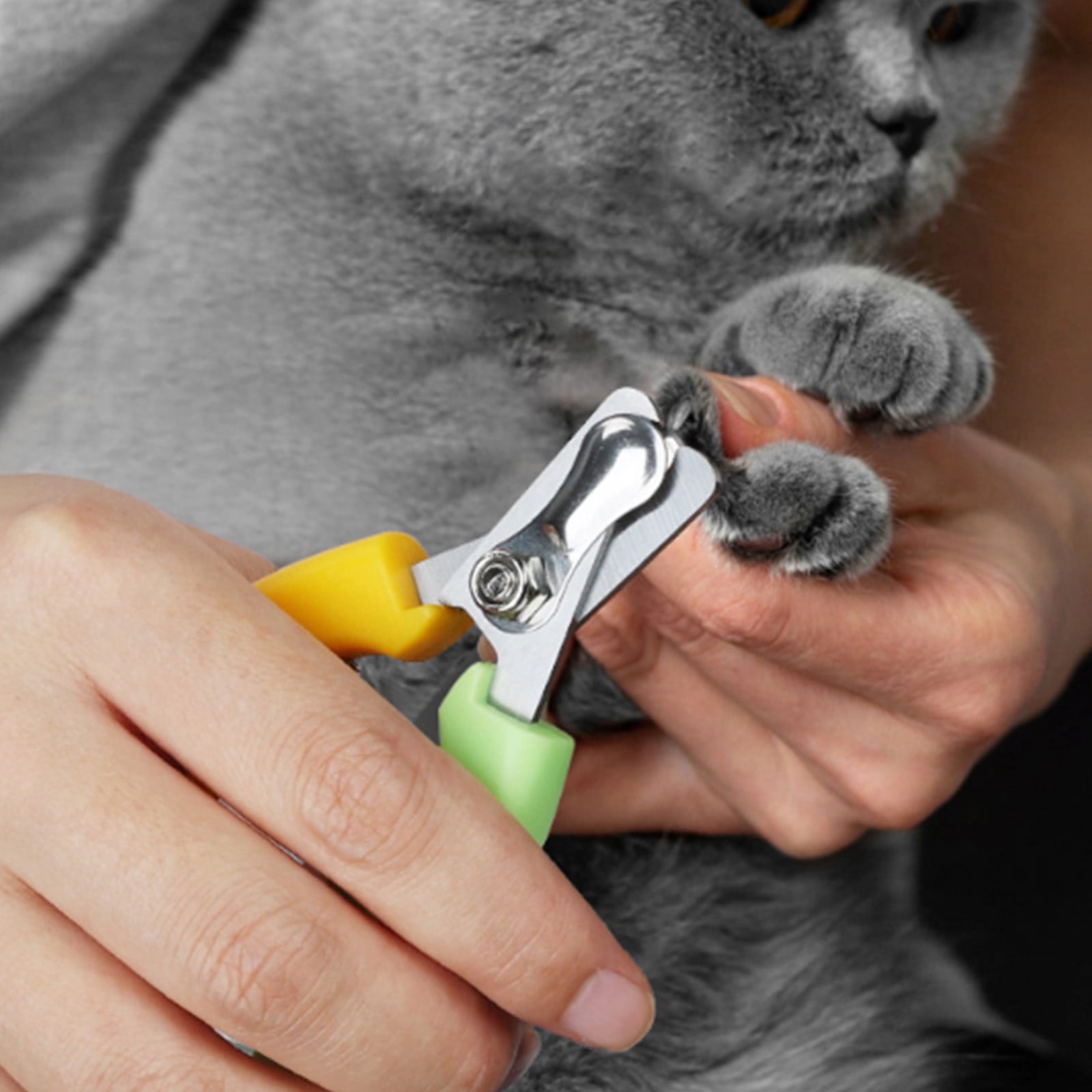 Xiying Small Pet Nail Clippers | Metal Fishtail Design For Dogs & Cats ...