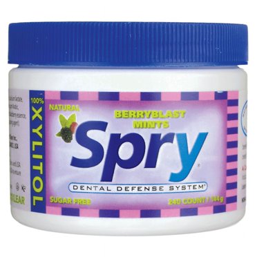 Spry Cinnamon Chewing Gum 100 Ct Jar, Xylitol Sugar Free, Dental Care ...