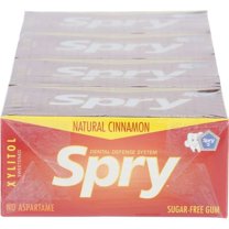 Spry Cinnamon Chewing Gum 100 Ct Jar, Xylitol Sugar Free, Dental Care ...