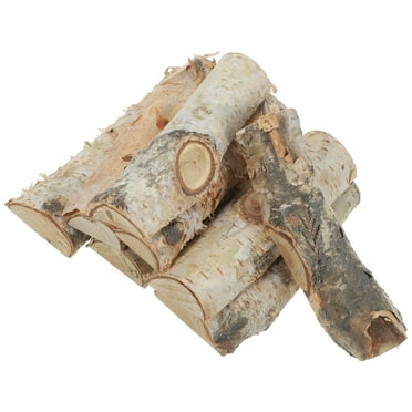 10-Piece Assorted Birch Mini Logs, Natural, Decorative Wooden Craft for ...