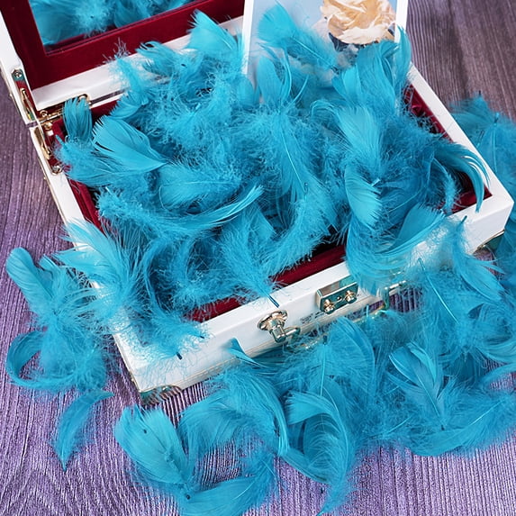 XmhyTop-A 100PCS Fake Goose Craft Feathers - Soft, Natural-Look ...