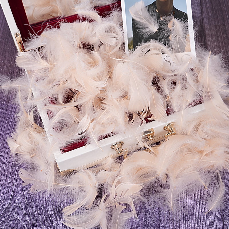 XmhyTop-A 100PCS Fake Goose Craft Feathers - Soft, Natural-Look ...