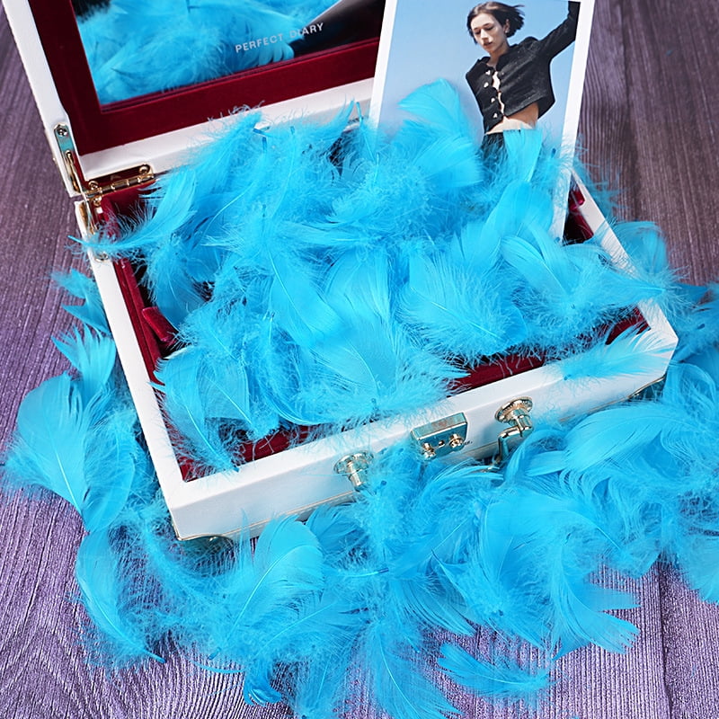 XmhyTop-A 100PCS Fake Goose Craft Feathers - Soft, Natural-Look ...