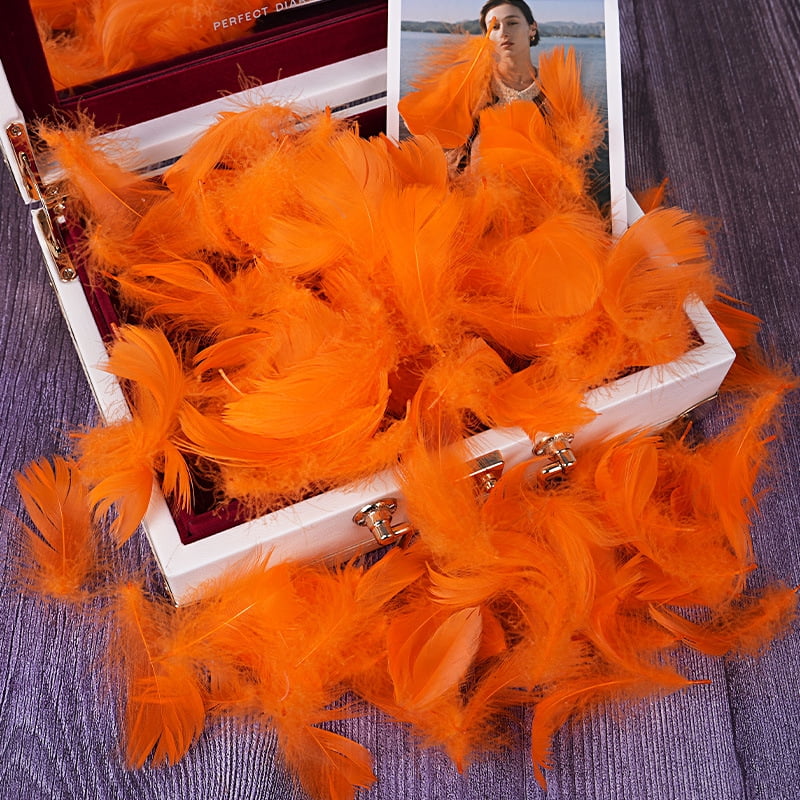 XmhyTop-A 100PCS Fake Goose Craft Feathers - Soft, Natural-Look ...