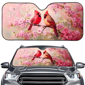 Chicken Windshield Covers