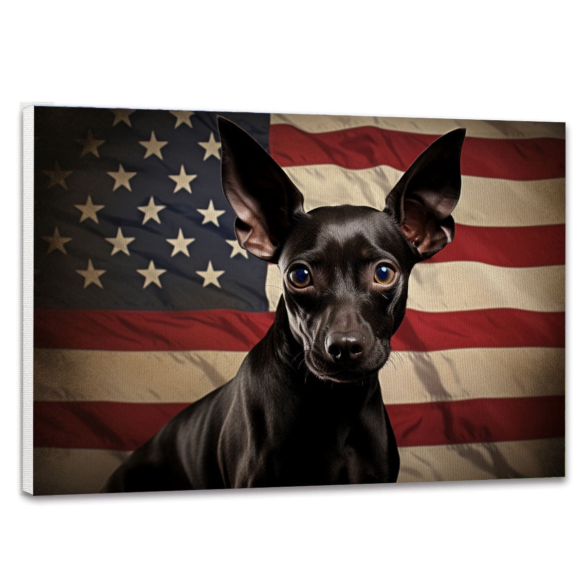 Xoloitzcuintli Dog Canvas with American Flag Canvas Wall Art Dog Canvas ...