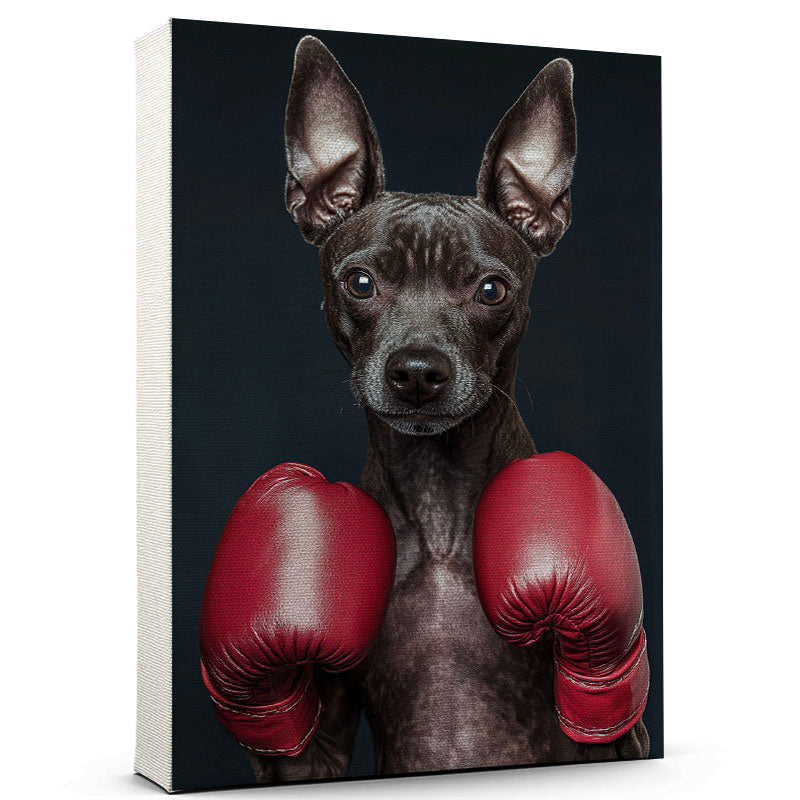 Xoloitzcuintli Vintage Dog Boxing Canvas – Artistic Sports ...