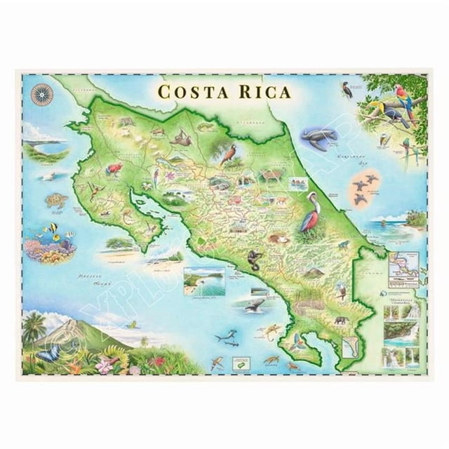 Xplorer Maps MAP_CR_LTD-1 Costa Rica Hand-Drawn Map - Walmart Business ...