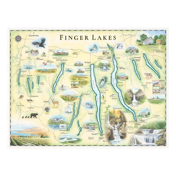 Xplorer Maps MAP_FLX Finger Lakes Hand-Drawn Map - Walmart.com