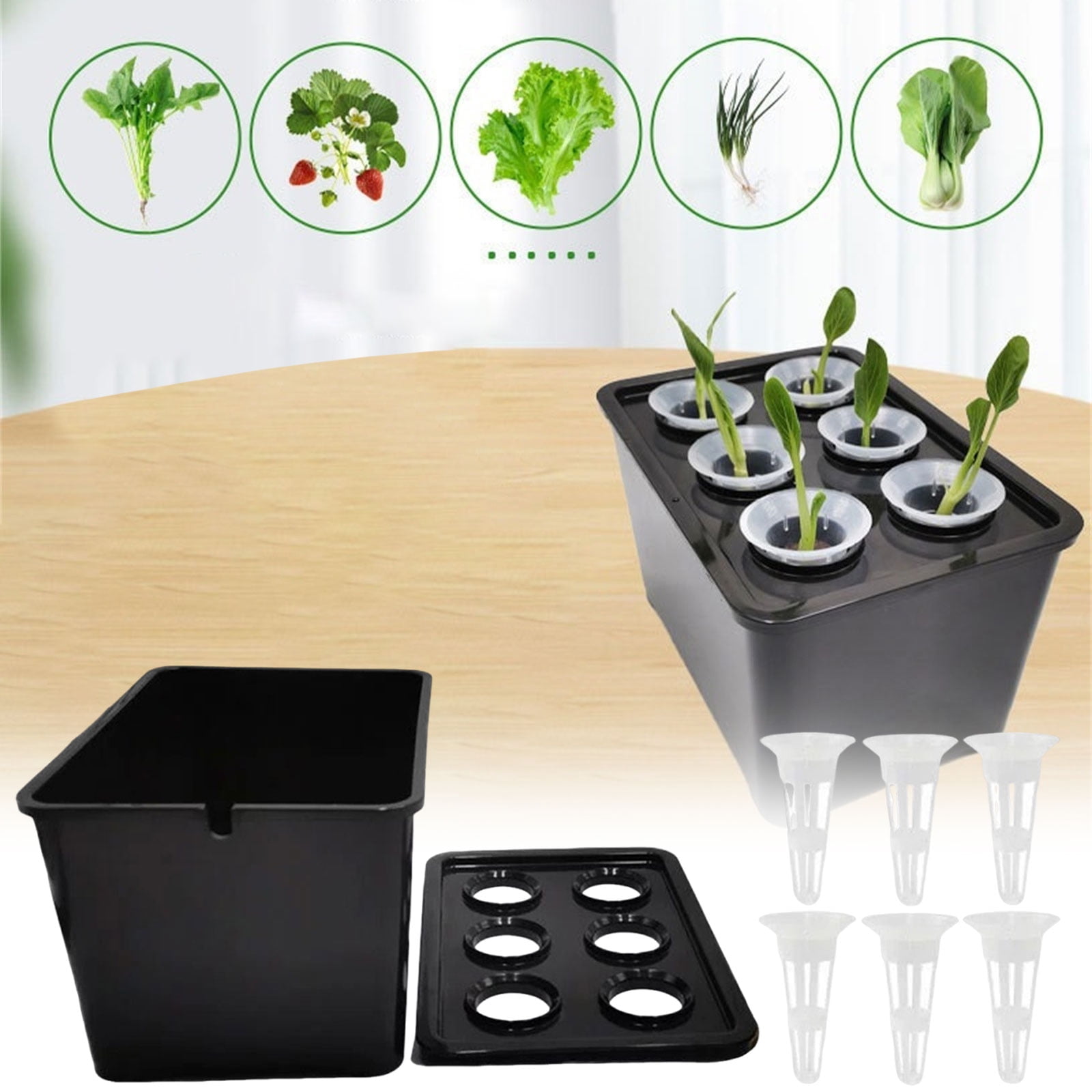 Xrouty Hydroponic Seedling Box, 7"x 4.7" x 4" Soil Free Lid + 6 Net ...