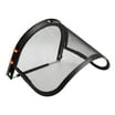 3M 90028-80025T Professional Face Shield - Walmart.com