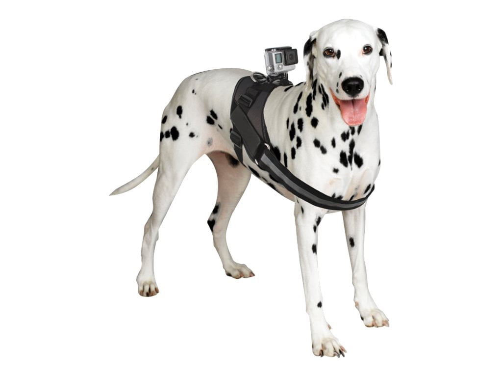 Bower Xtreme Action Series Dog Harness Mount - Support system - dog ...