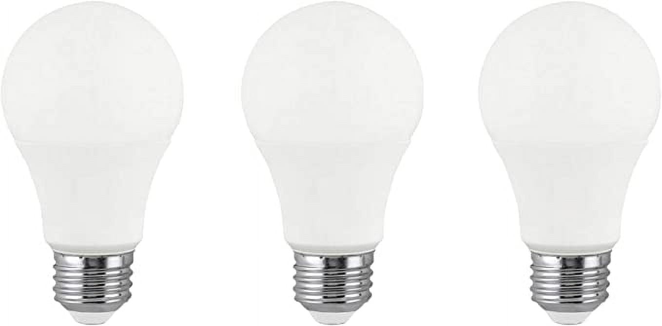 Xtricity 12V A19 LED Light Bulb, E26, 10W (60W Equivalant) 3000K Light ...