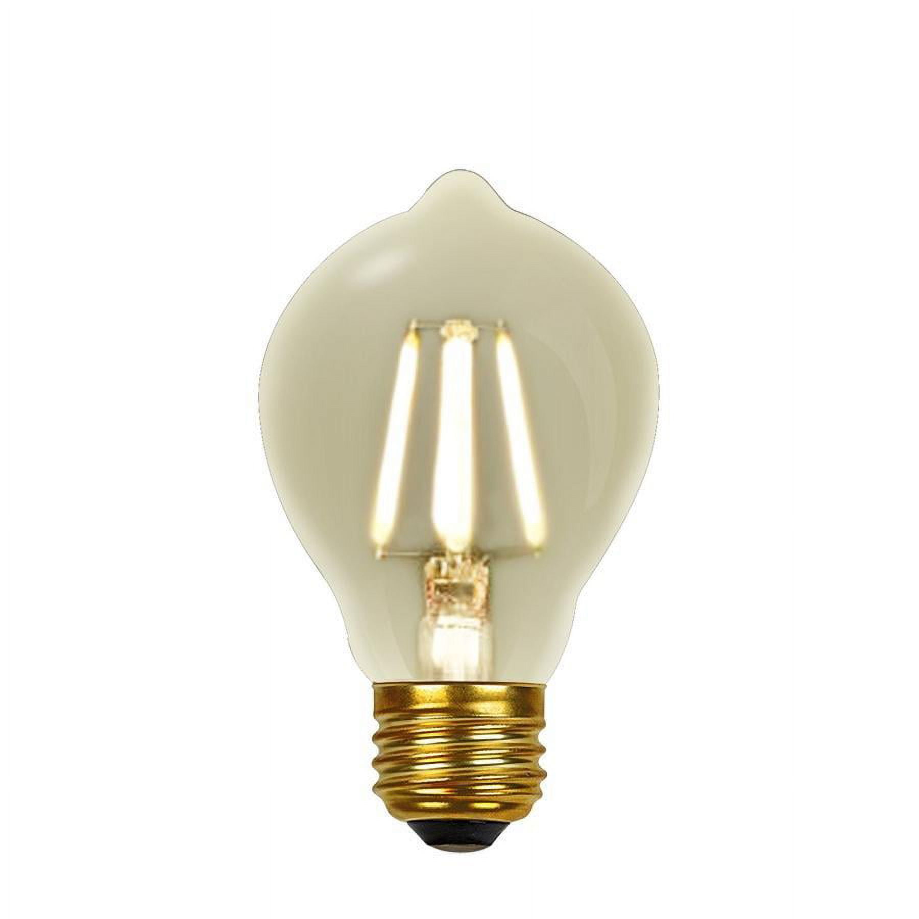 Xtricity - Old Style LED Bulb, 4.5W, E26 Base, 2200K Soft White ...
