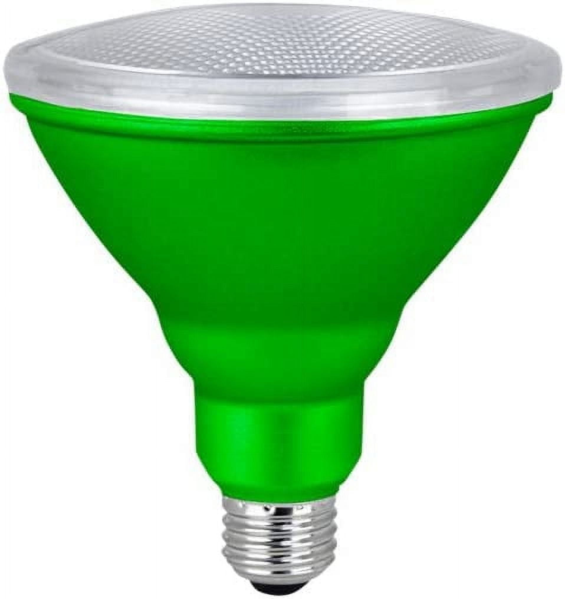Xtricity PAR38 Green LED Flood Light Bulb Outdoor/ Indoor, 7W(40 Eqv), E26, 3000K, UL Listed ...