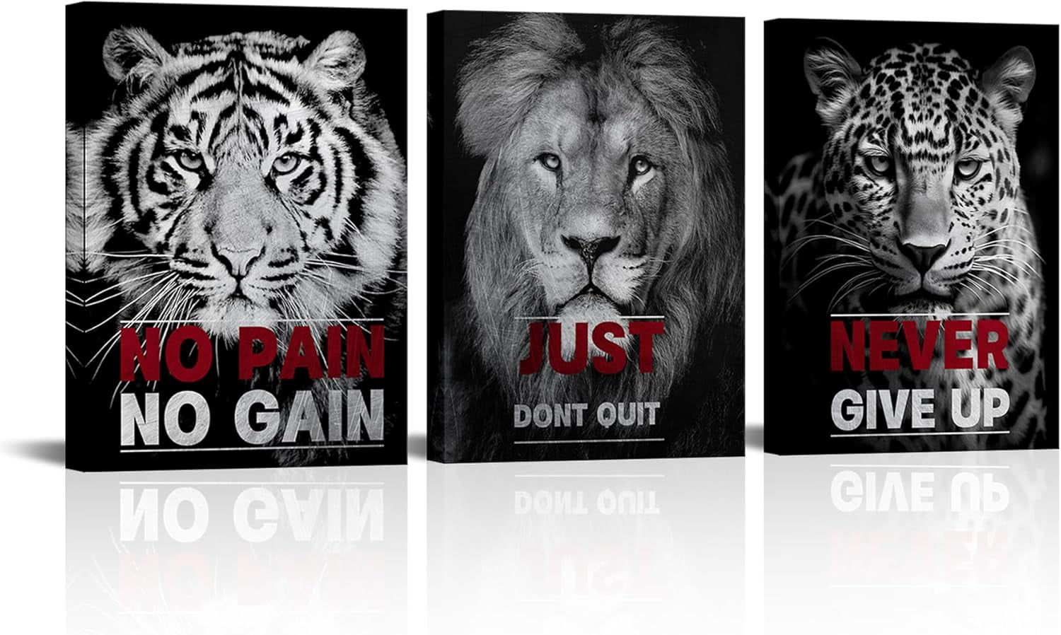 Xuen Animal Wall Art Tiger Lion Leopard Inspirational Quotes Wall Decor ...