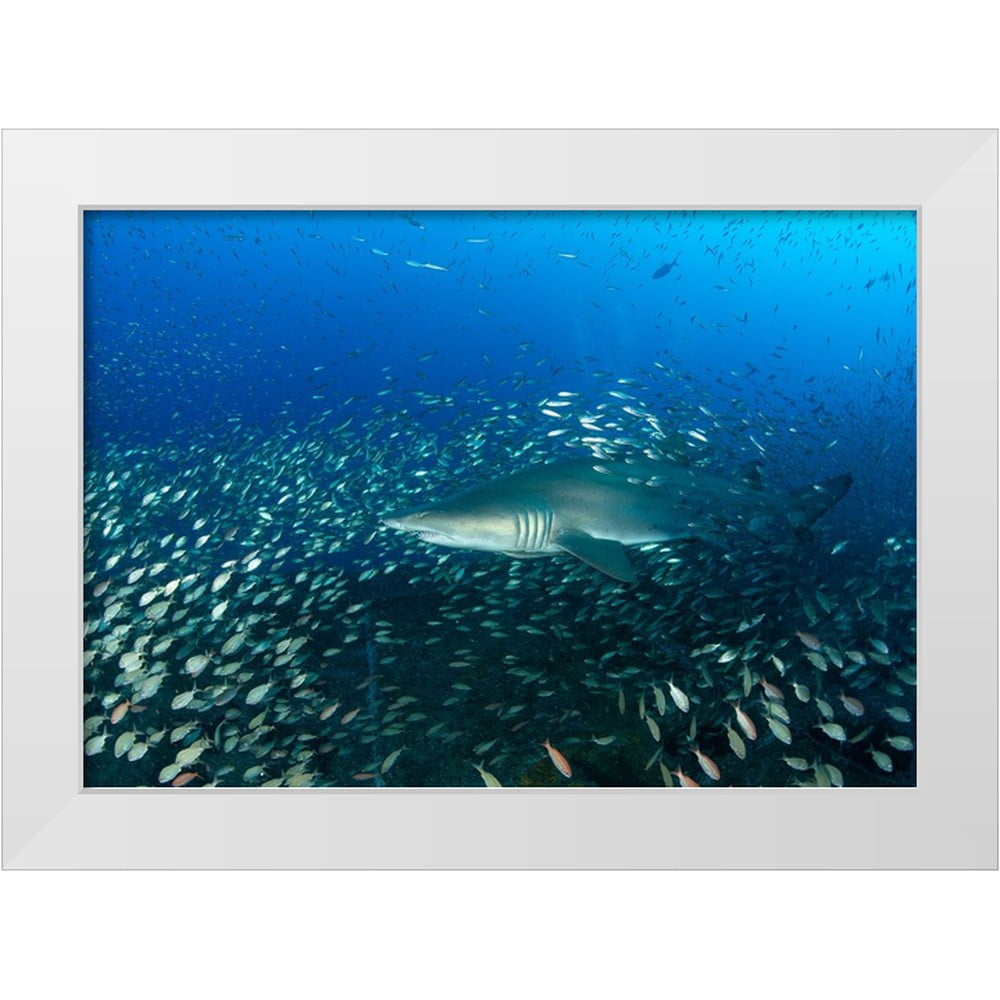 Y Lin, Ryan 32x23 White Modern Wood Framed Museum Art Print Titled ...