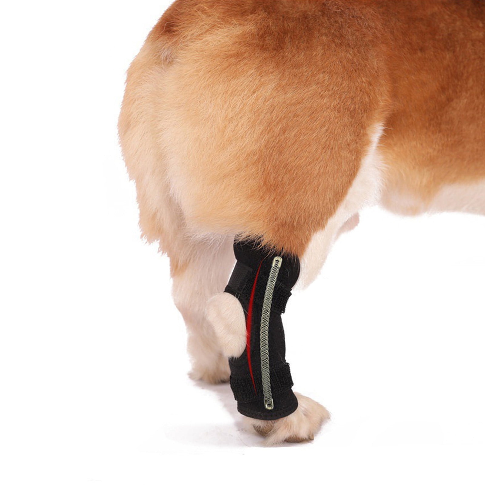 Y-Sunset Dog Leg Brace for Rear Hock Support – Adjustable Dog Knee ...