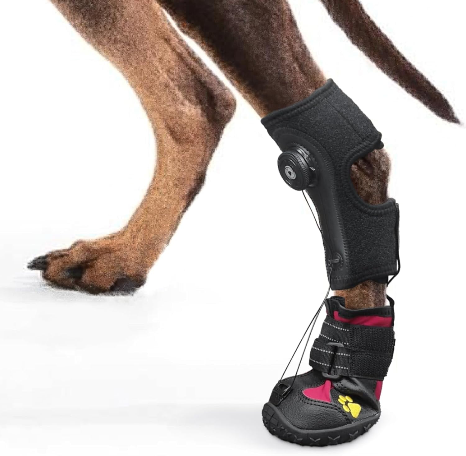 Y-Sunset Drop Foot Brace for Dogs – No Knuckling Boot with Adjustable ...